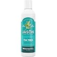 Amazon.com : Jason Tea Tree Conditioner 12 oz : Beauty & Personal Care
