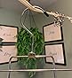 Amazon.com: Magicool Cami Hanger 2 Pack Space Saving Hangers Closet ...