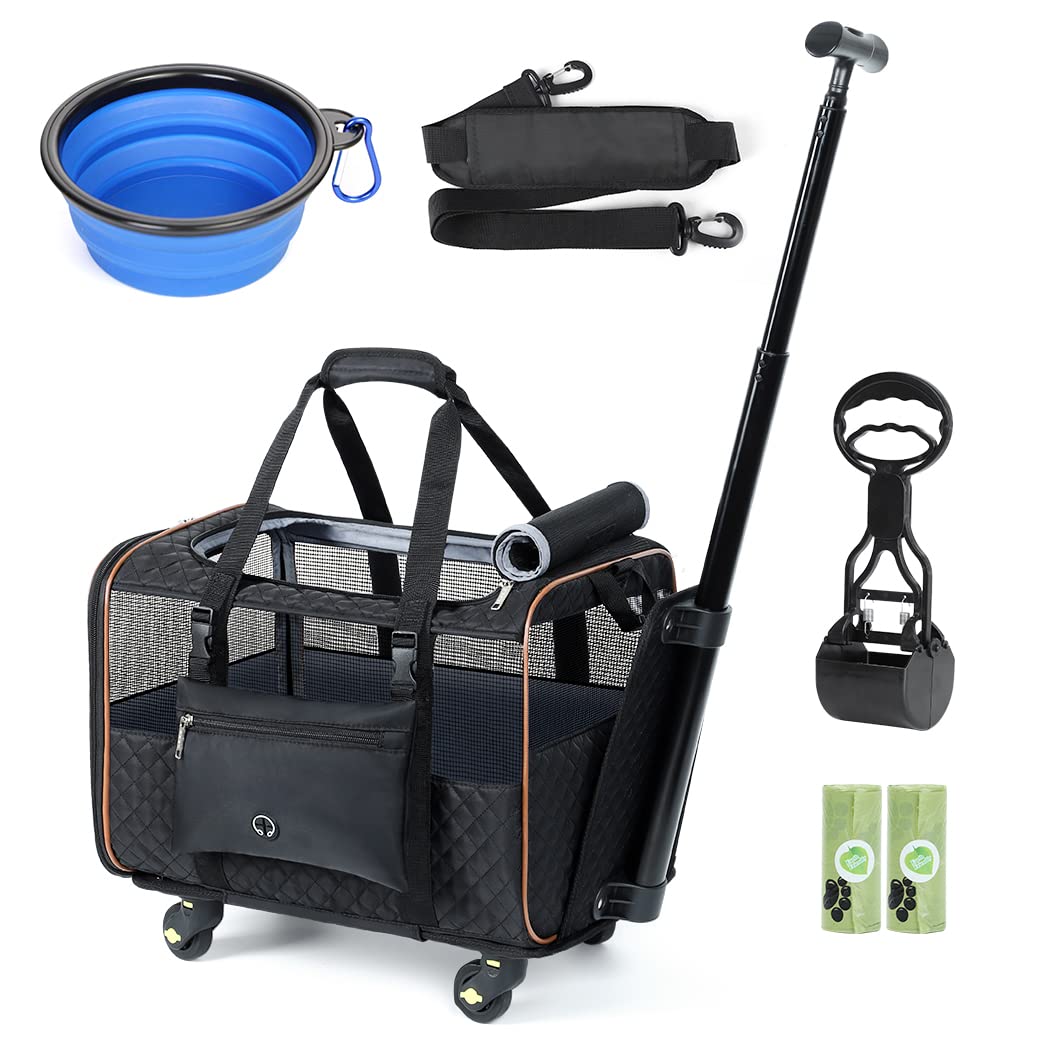 Hard-Sided Carriers Oman | Buy Online | Whizz Others
