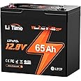Amazon.com: Litime 12V 65Ah LiFePO4 Battery, Group 22NF Wheelchair ...
