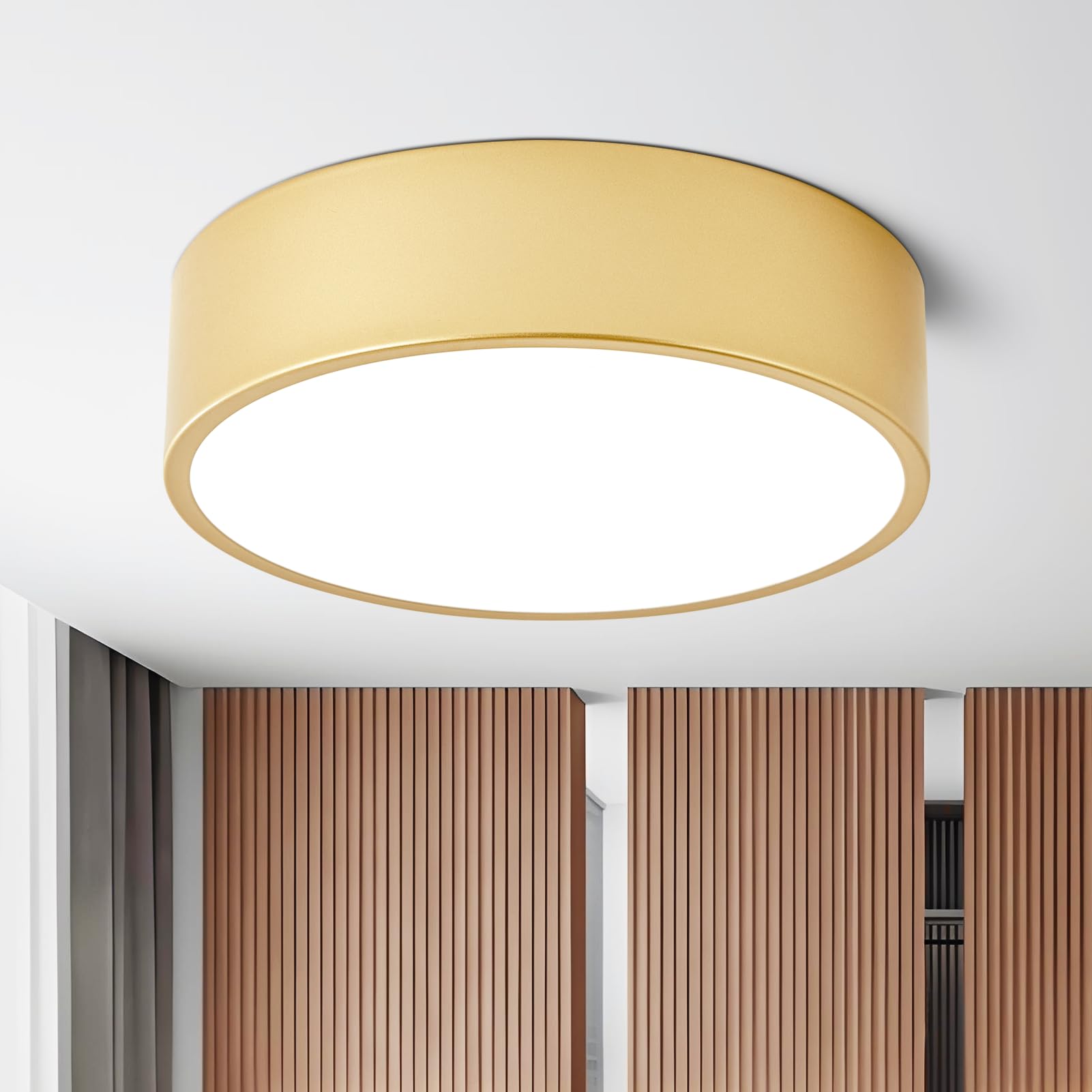 TYNCEAOL Dimmable Modern Flush Mount Ceiling Light Fixture,Gold Round ...