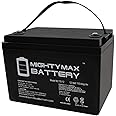 Amazon.com: ML110-12 - 12 Volt 110 AH Rechargeable Type Battery ...