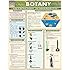 Amazon.com: Botany For Dummies (9781118006726): René Fester Kratz: Books