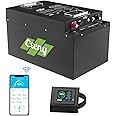 Amazon.com: 48V Golf Cart Battery 120Ah Lithium Battery, With Intelligent 200A BMS, Mobile APP ...