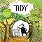 Tidy: Amazon.co.uk: Emily Gravett: 9781447273998: Books