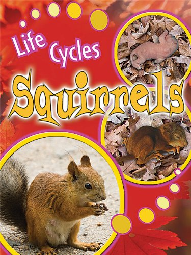 25 Engaging Fiction and Nonfiction Kids Books About Squirrels