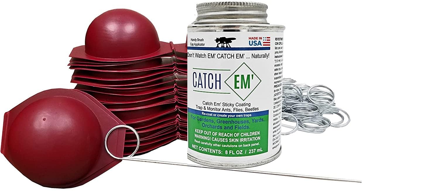 Mua Bug Ball (12 Pack) Apple Maggot Trap Starter Kit - with NO ...