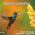 Amazon.com: 2025 Wall Calendar Hummingbird | 12 Monthly Hangable ...