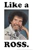 Laminated Bob Ross Like a Ross Funny Meme Bob Ross Poster Bob Ross ...
