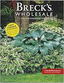 Breck's Wholesale Plants an Flowers, Catalog of Bulbs from Holland ...