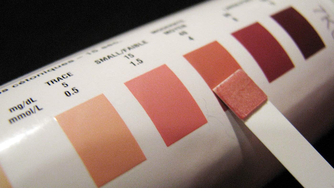 Ketone Keto Urine Test Strips Accurately Measure Your Fat Burning