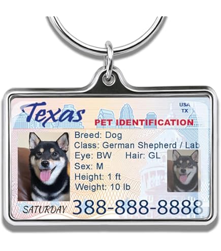 Tennessee Dog Tags