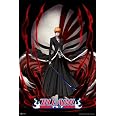 Amazon.com: Bleach Poster Anime Merch Manga Ichigo Merchandise Series ...