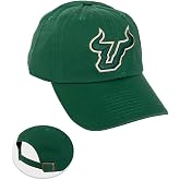 Amazon.com: Desert Cactus University of South Florida Baseball Hat USF ...