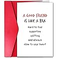 Funny Best Friend Birthday Card, Card for Friends, Lovely Original ...