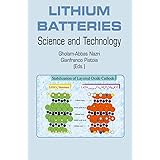 Amazon.com: Lithium Batteries: Science and Technology: 9783319191072 ...