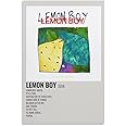 Amazon.com: XINYIN Cavetown Poster Lemon Boy Album Minimalist Cover Poster Decorative Painting ...