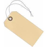 Amazon.com : Tags with Elastic String Attached - #5, 4 3/4" x 2 3/8 ...
