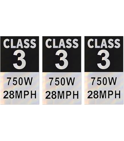 Electric Bike Compliance Labels Electric Bike Vinyl Sticker Set - 750W ...