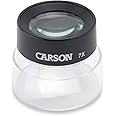 Amazon.com: Carson LumiLoupe 7x Pre-Focused Stand Magnifier Loupe (LL ...