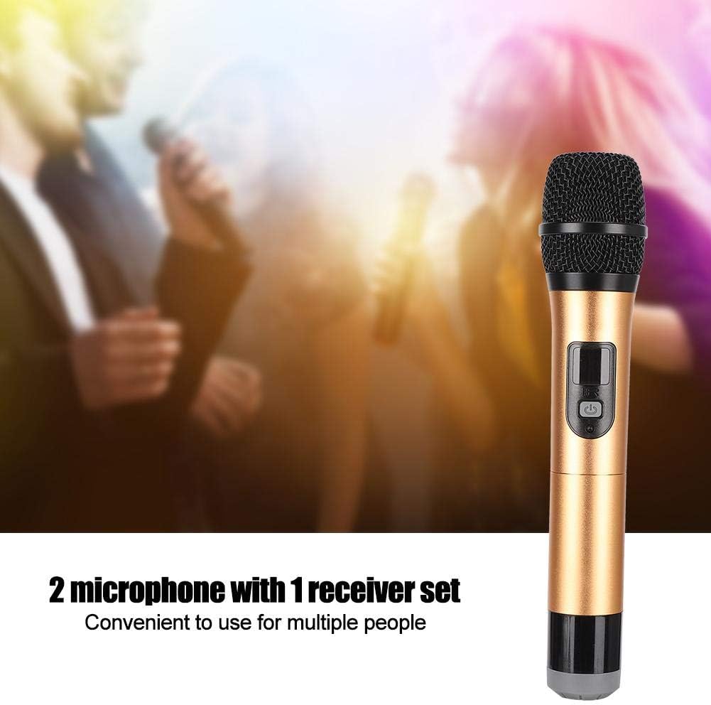 Tonysa 2 Microphone with 1 Receiver Set, USB-3.0 Wireless Microphone ...