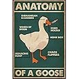 Amazon.com: Goose Knowledge Retro Metal Tin Sign Anatomy Of A Goose ...