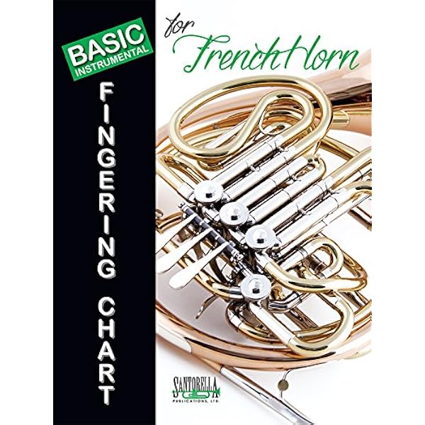 French Horn Labelled Diagram