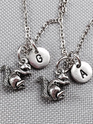 Amazon.com: Best friend necklace, squirrel necklace, animal necklace ...