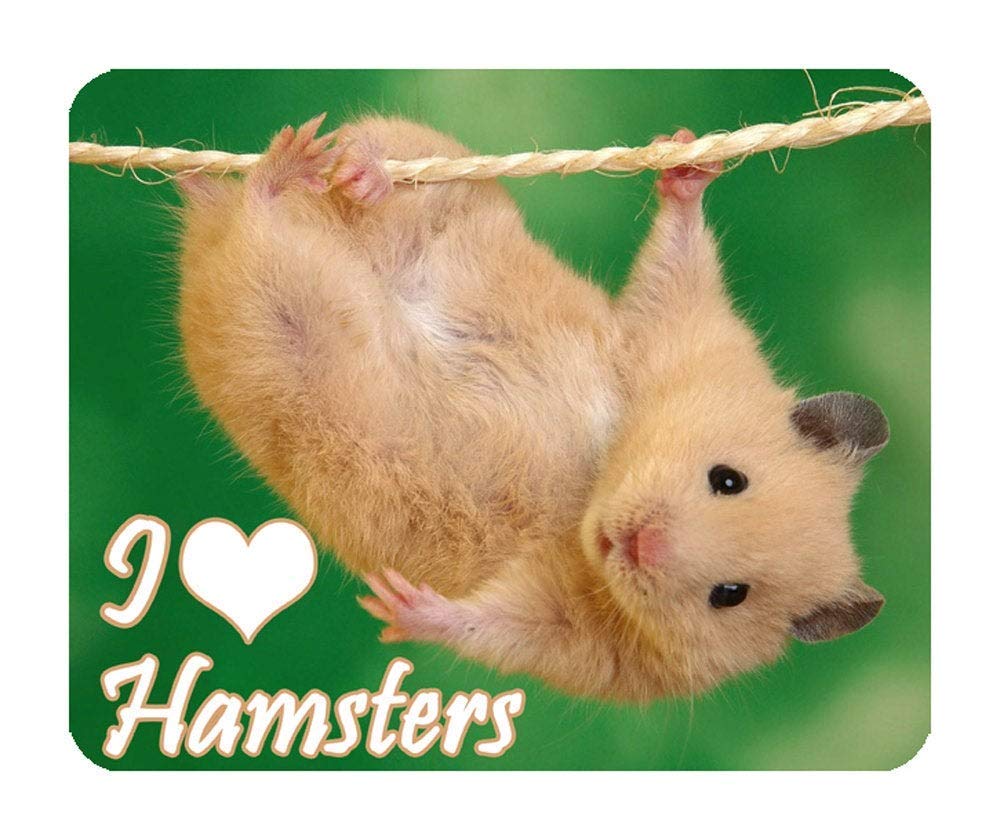 Hamster - ich liebe hamster maus matte mauspad / 22x18cm: Amazon.de: Games