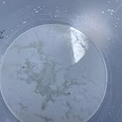 Amazon.com: 2 lb Red Hot Devil Lye Sodium Hydroxide Meets Food Chemical ...