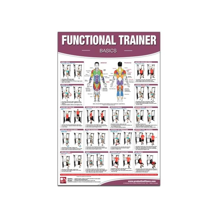 Buy Functional Institutional/Home Gym Poster/Chart- Basics - Functional ...