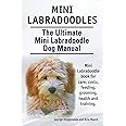 Mini Labradoodles. The Ultimate Mini Labradoodle Dog Manual. Miniature ...