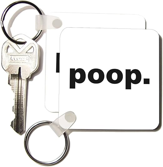 Amazon.com: 3dRose Poop - Key Chains, 2.25 x 4.5 inches, set of 2 (kc ...