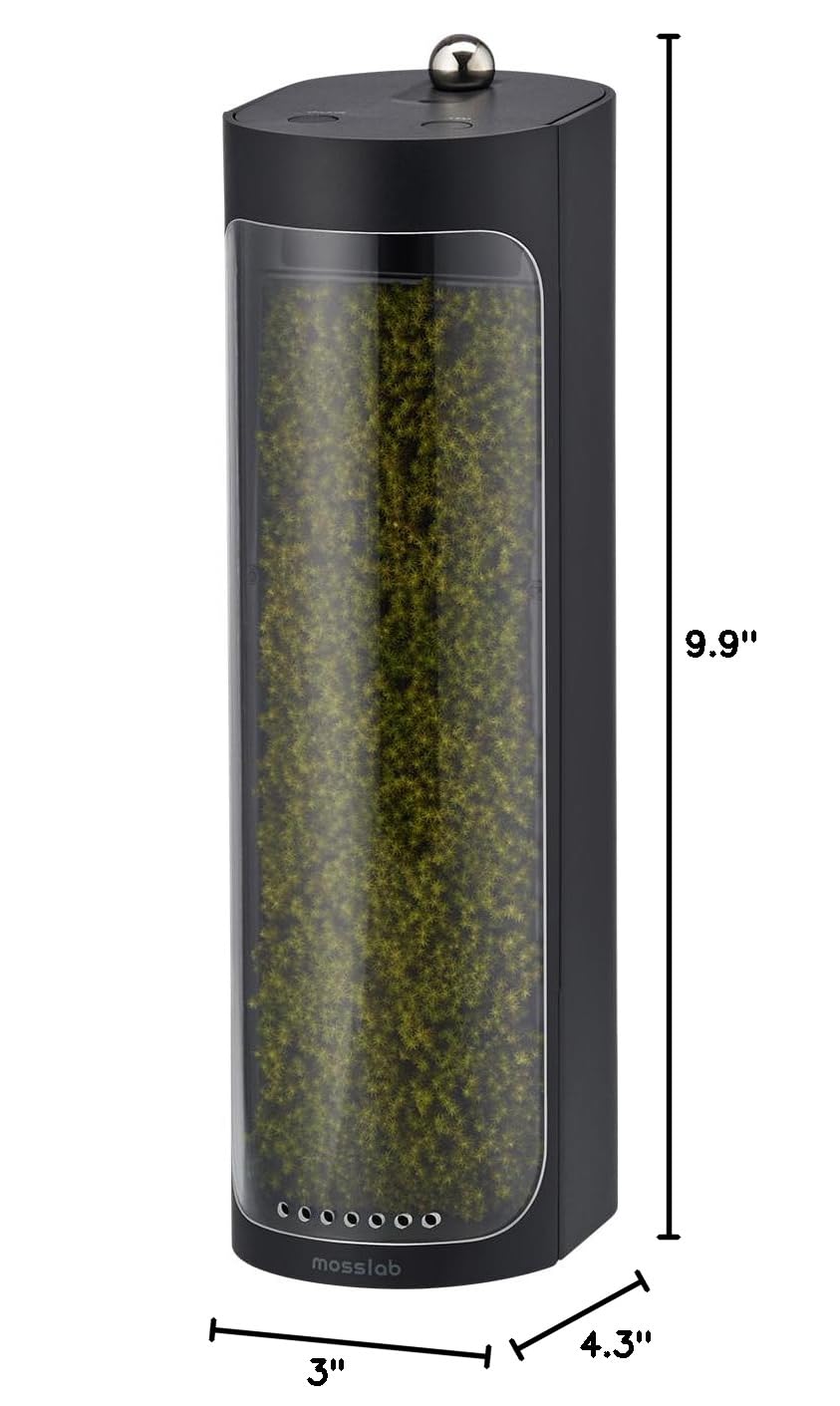 Mua Mosslab Moss Air – Living Moss Terrarium Humidifier | Soothing Mist ...