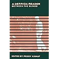 A Derrida Reader: Between the Blinds: Derrida, Jacques, Kamuf, Peggy: 9780231066594: Amazon.com ...