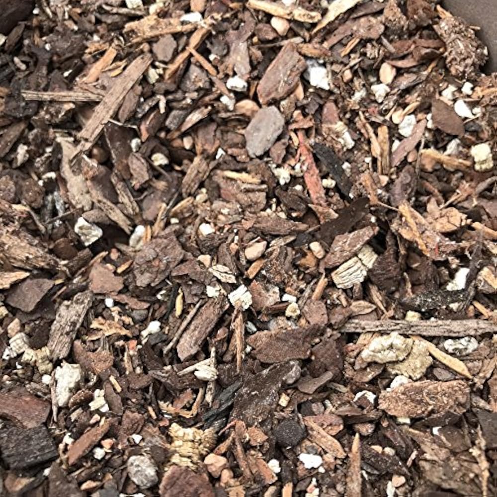 Bonsai Tree Soil Purpose Blend Two Quarts Tinyroots Brand 100 bonsai-tree-soil-purpose-blend-two-quarts-tinyroots-brand-100