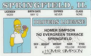 Amazon.com: Homer Simpson Driver License ID : Automotive