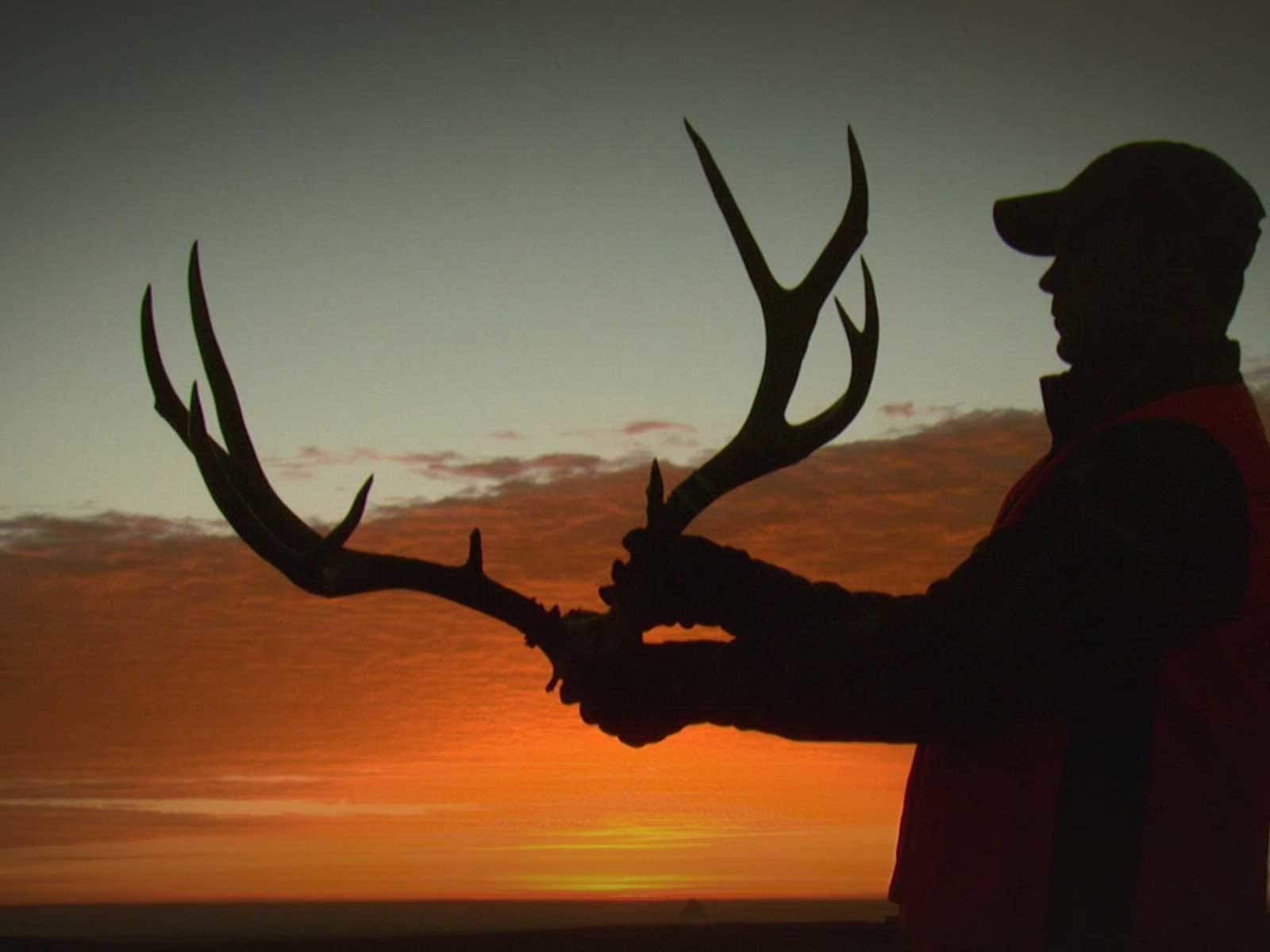 Watch Hunt Masters - Season 2 | Prime Video