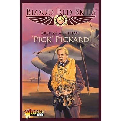 British Ace Pilot Pick Pickard 1:200 Mosquito WWII Angola | Ubuy