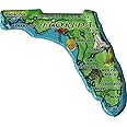 Amazon.com: Florida - Acrylic State Map Refrigerator Magnet : Home ...