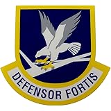 Amazon.com: American Vinyl Air Force Security Forces Defensor Fortis ...