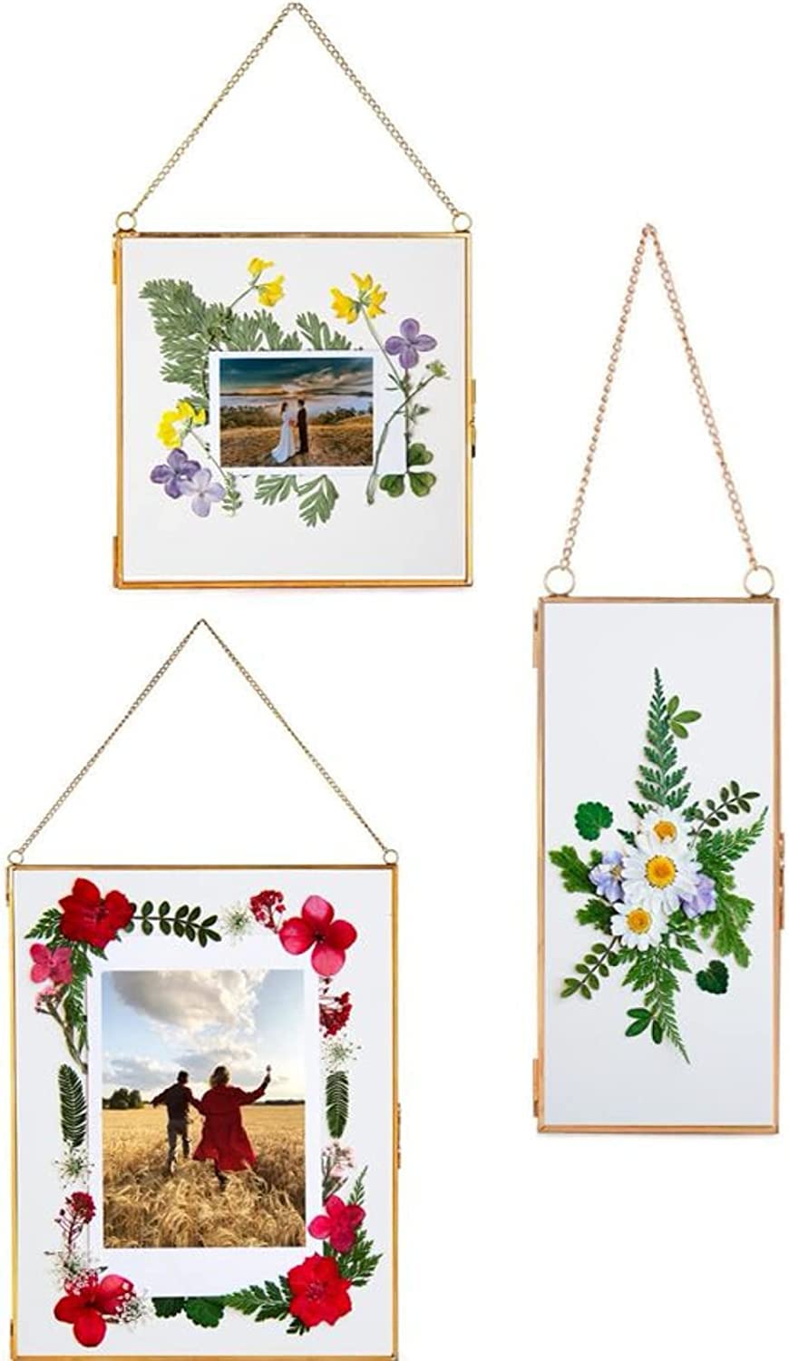 Double Glass Frame for Pressed Flowers, Leaf and Artwork - Set of 3 ...