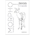 Morpho: Mammals: Elements of Comparative Morphology (Morpho: Anatomy ...