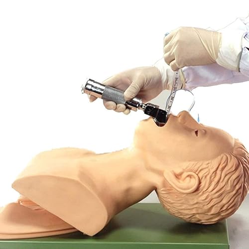 220V Intubation Study Model, Airway Management Trainer for Oral Nasal ...