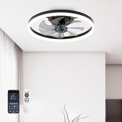 STERREN Ceiling Fans with Lights, Flush Mount Ceiling Fan with Light ...