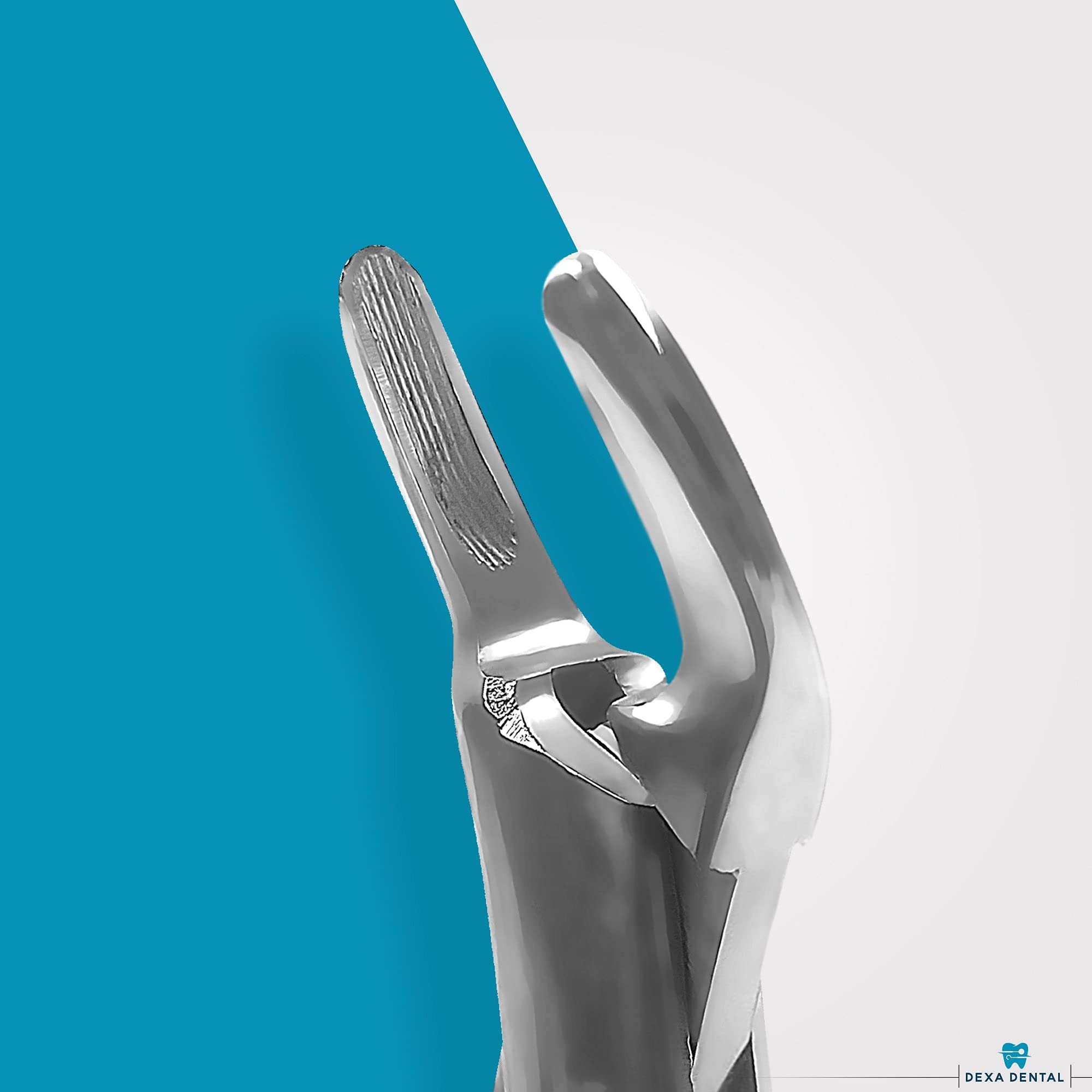 Mua Heavy Duty Dental Extracting Forceps # 150# 151# 23, Apical Forceps ...