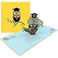 Amazon.com : iGifts And Cards Owl Graduation 3D Pop Up Greeting Card ...