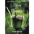 Stars of the Meadow: Medicinal Herbs as Flower Essences: Dalton, David ...