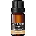 Amazon.com: NATURE HUE Ginger Root Essential Oil - 10 mL (1/3 oz ...