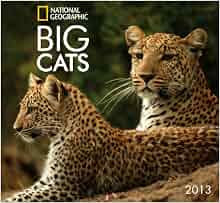 National Geographic Big Cats 2013 Calendar: Zebra Publishing Corp ...
